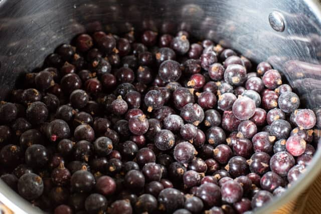 Blackcurrant Syrup Recipe {aka Make Your Own Ribena!}