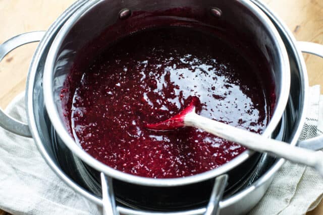 Blackcurrant Syrup Recipe {aka Make Your Own Ribena!}