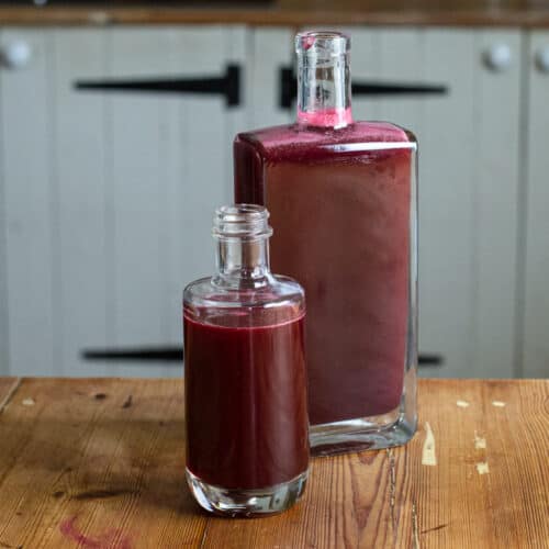 Blackcurrant Syrup Recipe {aka Make Your Own Ribena!}
