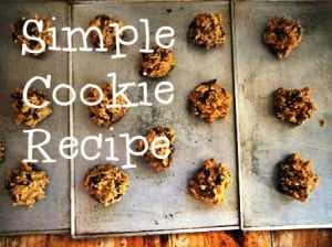 Basic Cookie Dough Recipe (with variations) - The Hedgecombers