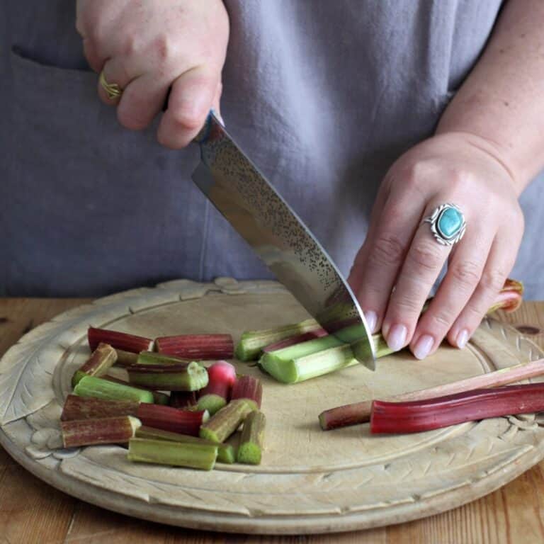 Simple Poached Rhubarb with Vanilla Coconut Cream - The Hedgecombers