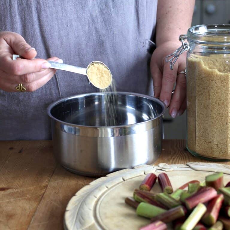 Simple Poached Rhubarb with Vanilla Coconut Cream - The Hedgecombers