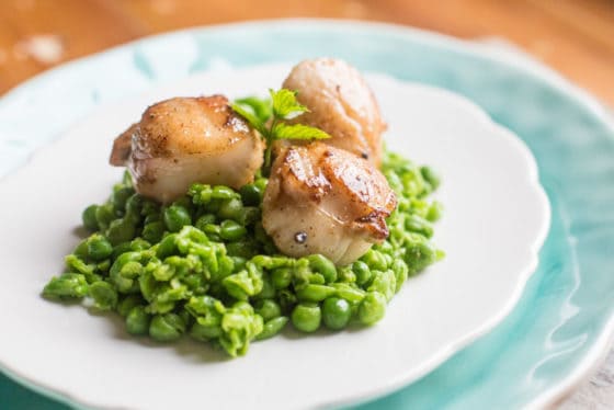Scallops on Smashed Minted Peas - The Hedgecombers