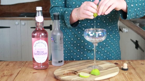 Pink Elephant Cocktail Recipe - simple, 3 ingredient recipe! - The ...
