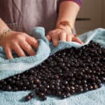 Easy Homemade Sloe Vodka - The Perfect Wild and Foraged Gift - The ...