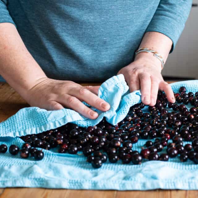 Homemade Blackcurrant Cassis Recipe - The Hedgecombers