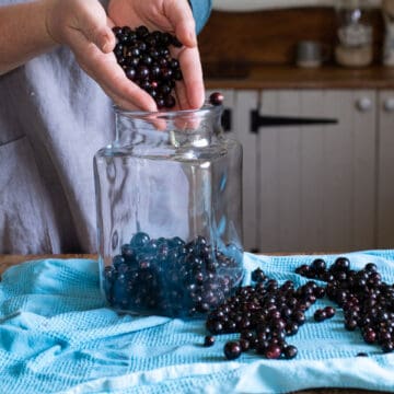 Homemade Blackcurrant Cassis Recipe - The Hedgecombers
