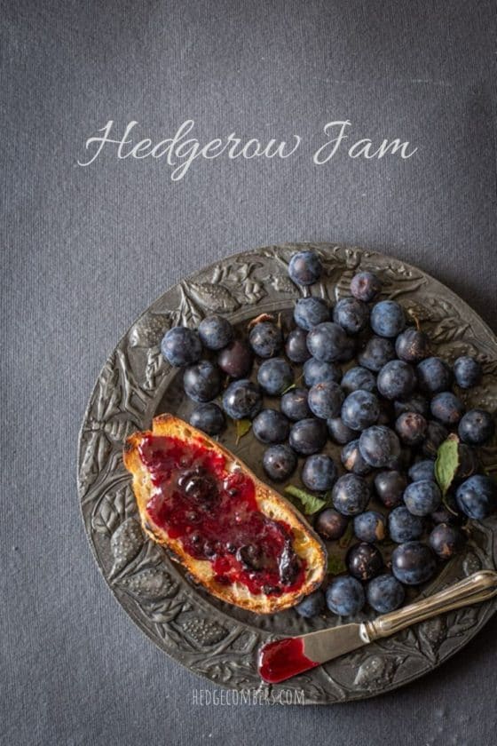 Sloe and Blackberry Hedgerow Jam - The Hedgecombers