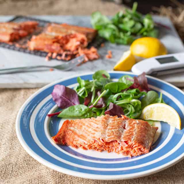 Hot Smoked Salmon - Quick, No Brine Recipe - The Hedgecombers
