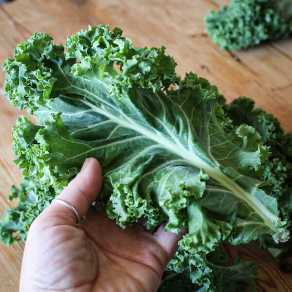 The Best Broccoli Kale Salad : Keto / Paleo / Whole30 - The Hedgecombers