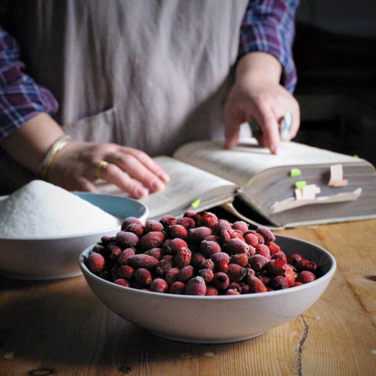 Wild Rose Hip Syrup Recipe - The Hedgecombers