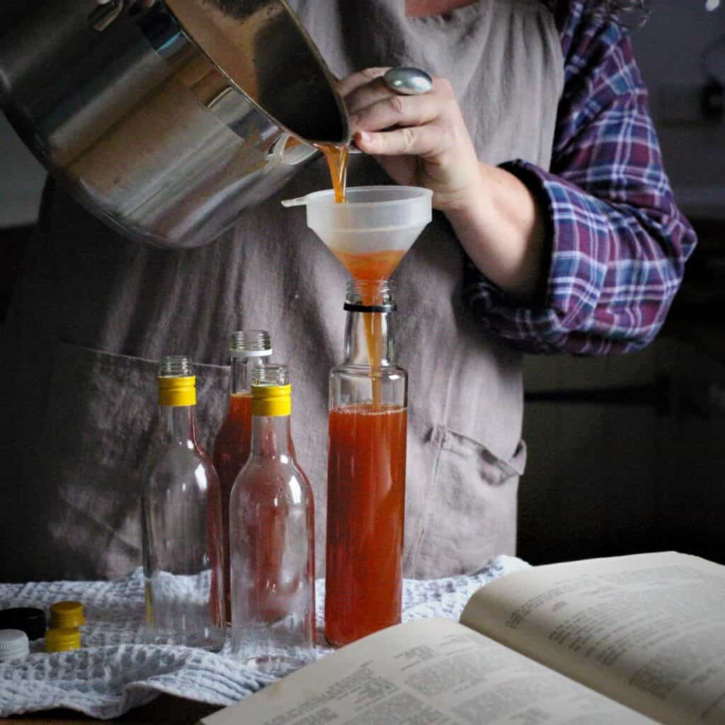 Wild Rose Hip Syrup Recipe - The Hedgecombers