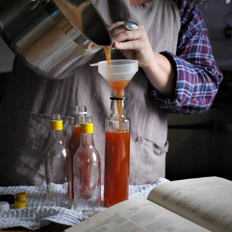 Wild Rose Hip Syrup Recipe - The Hedgecombers