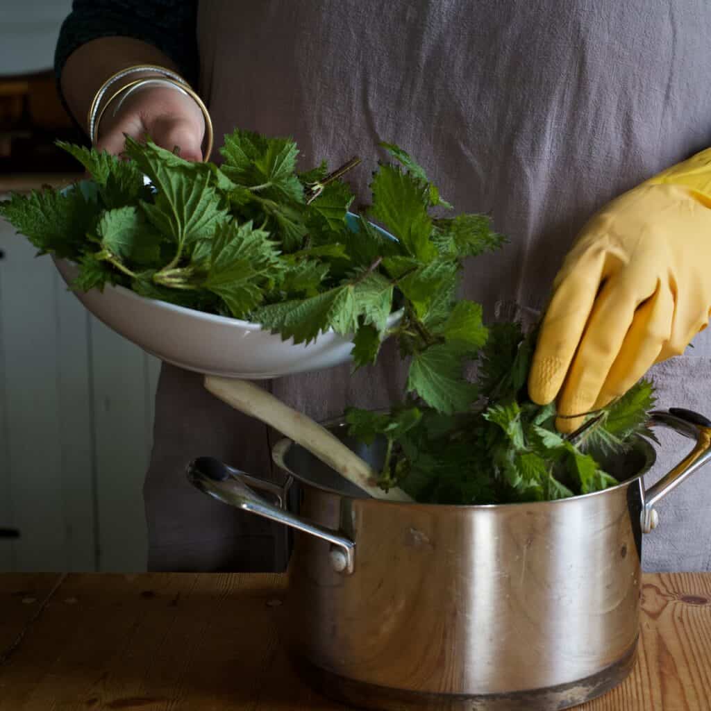 Silky Smooth Cream of Nettle Soup - The Hedgecombers